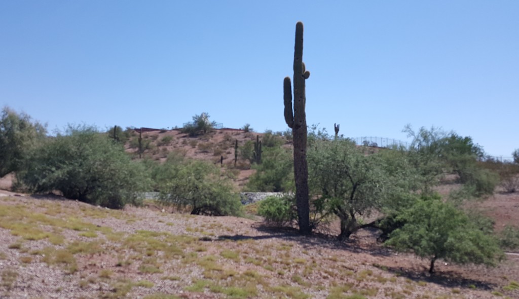 Day 111-113: Phoenix, Arizona – Supermoon Eclipse – HiJenx